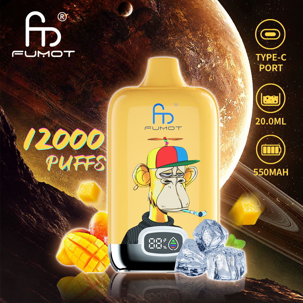 RandM Dijital Kutu 12000 puf 0% 2% 3% 5% Nikotin LED Ekran Tek ...